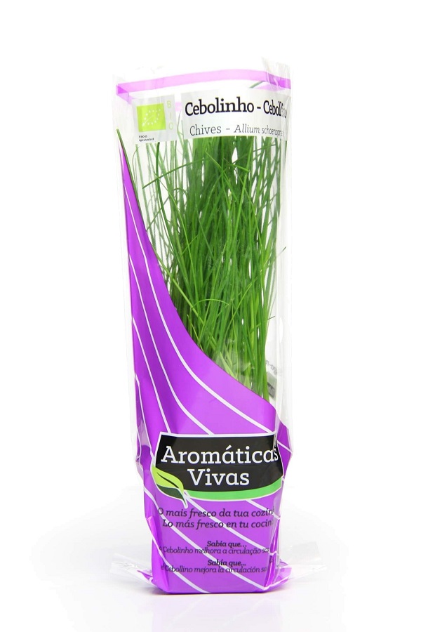 Cebolinho em vaso BIO - MCGAD